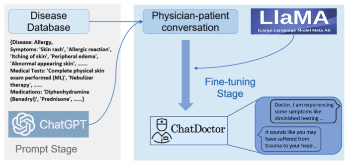ChatDoctor: Revolutionizing Medical Communication with AI-powered ...
