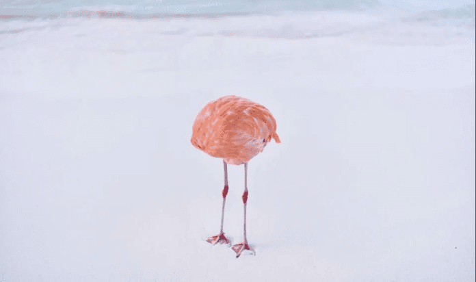 AI Photo Contest Winner Disqualified Because It’s Real - Neuronad - AI ...